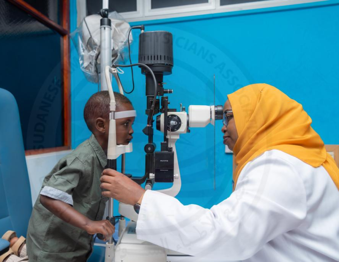 Who We Are | SAPA USA