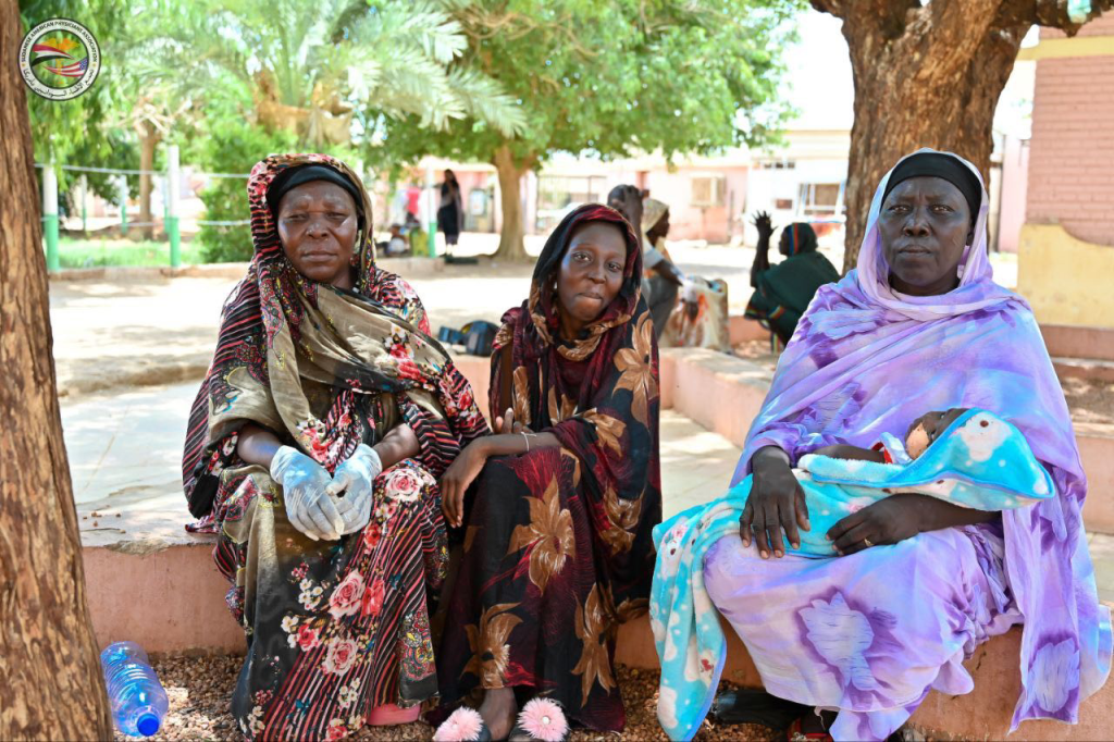 Empowering Voices: Women of Sudan Making History | SAPA