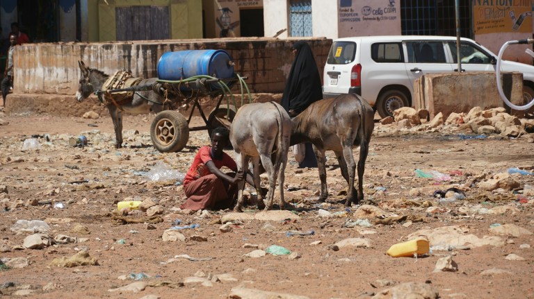 Is Sudan a Poor Country? | Causes of Poverty & 10 Facts