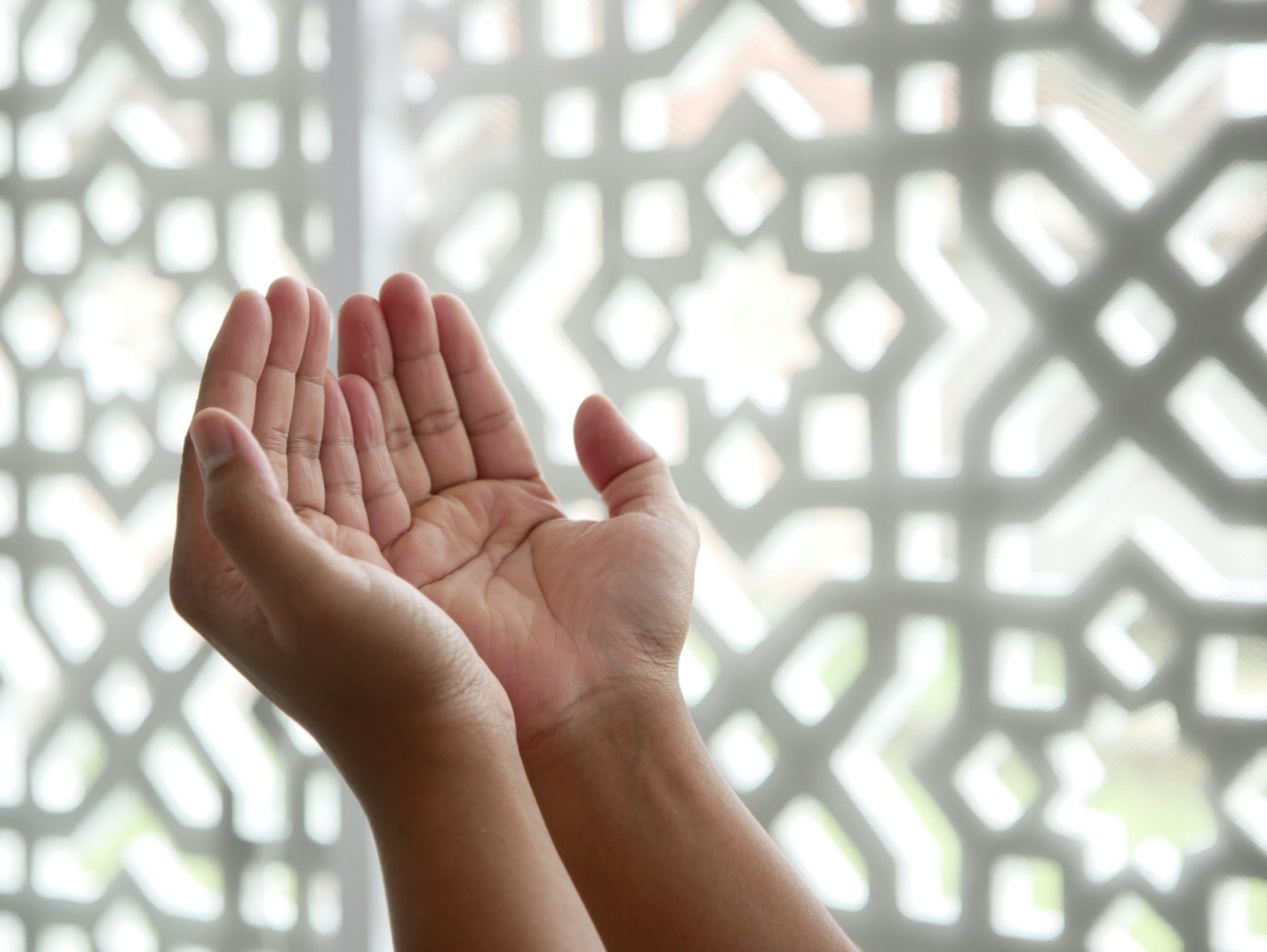 4 Different Types of Donors Every Nonprofit/Charity Organization Must Know